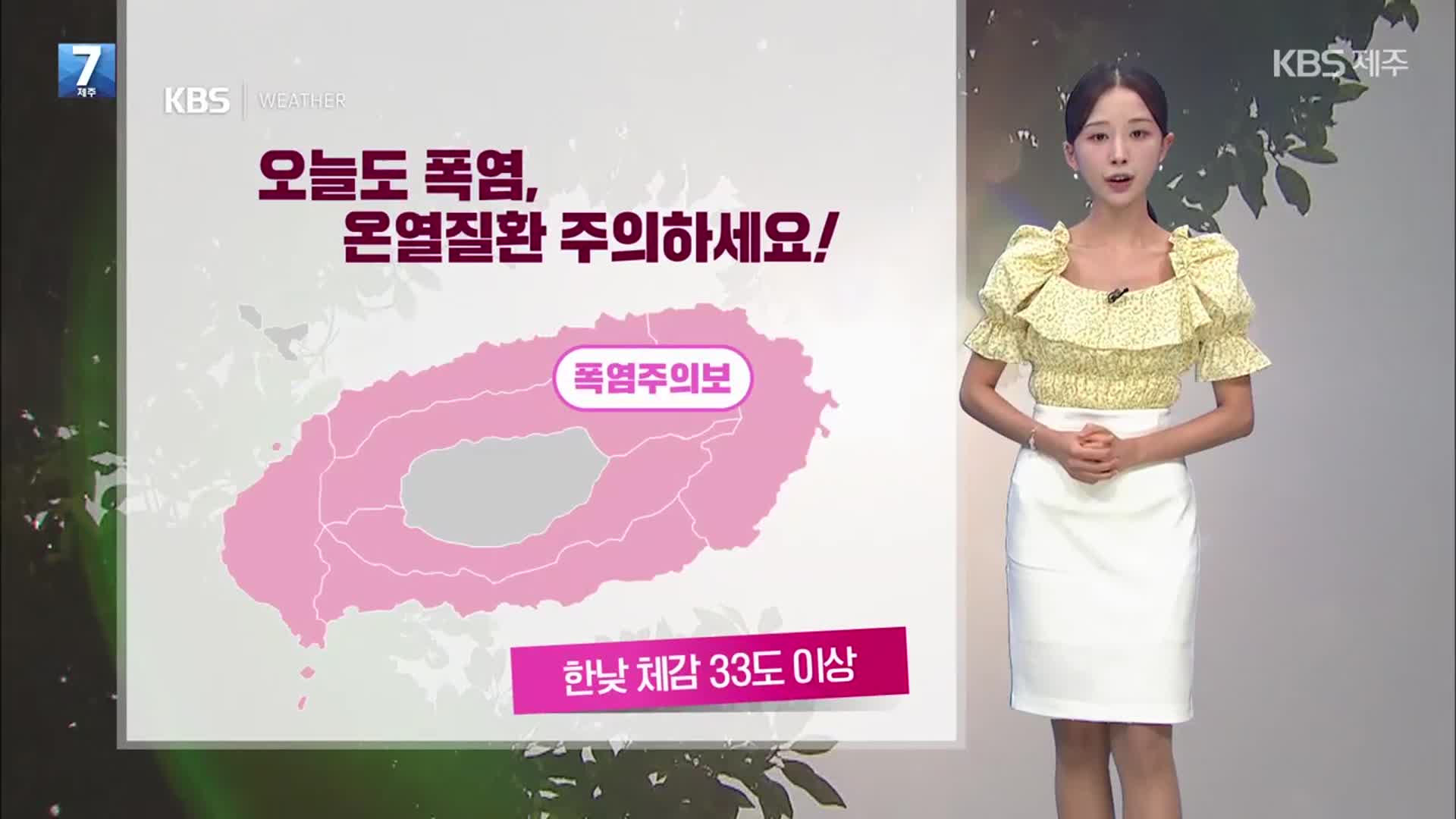 KBS 뉴스 KBS 뉴스